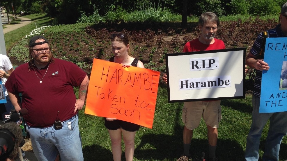 Memorial held for Harambe, gorilla shot and killed at Cincinnati Zoo | WRGT