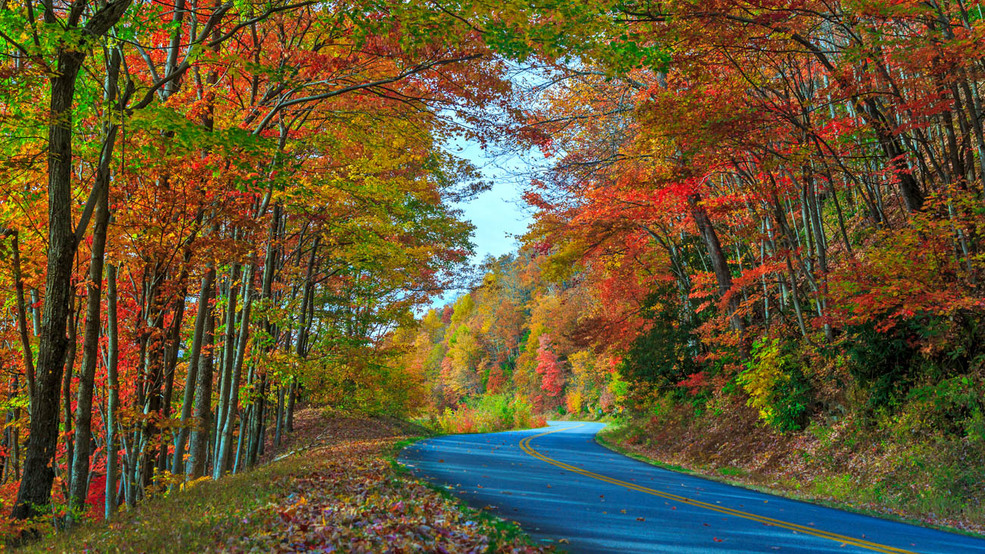 Blue Ridge Parkway falls from top of most visited parks list | WCTI