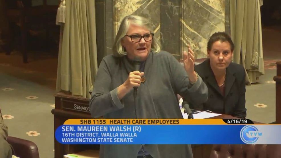 Sen. Walsh explains controversial remarks about nurses playing cards | KEPR