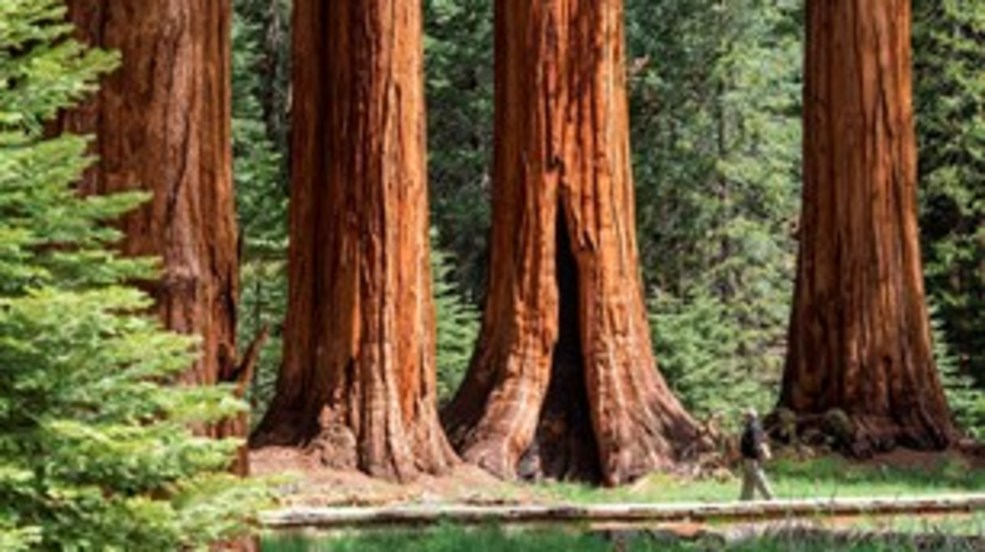 Sequoia and Kings Canyon National Parks closing | KBAK
