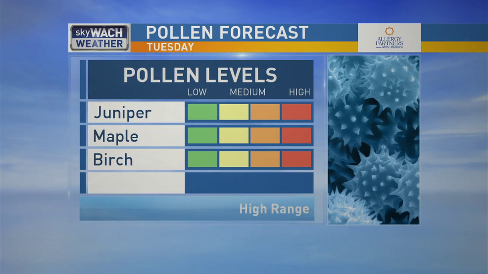 Pollen levels are high Tuesday | WACH