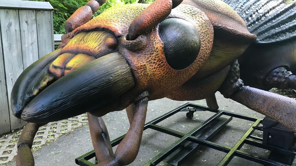 Big Bugs! exhibit officially arrives at Rosamond Gifford Zoo for the ...
