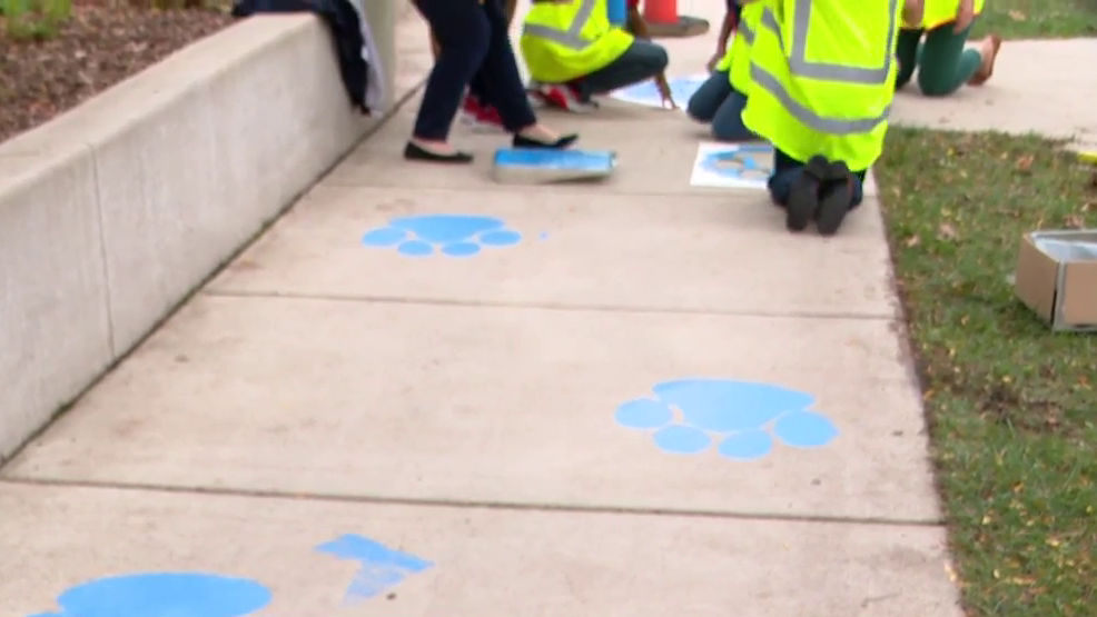 Students paint paw prints along sidewalk near local school for traffic ...